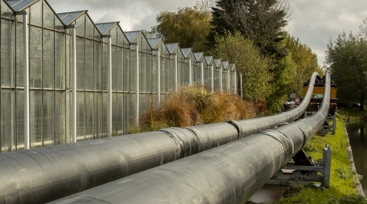 Trias Westland in het nieuws :: Trias Westland